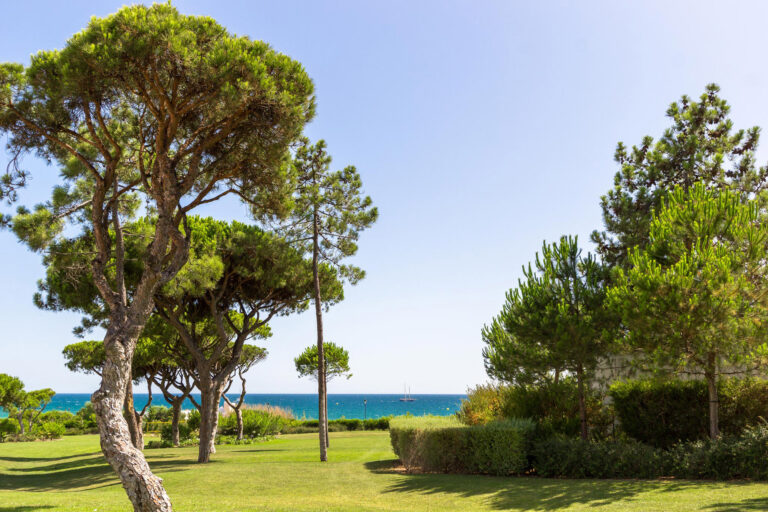 Gallery – Dunas Douradas Beach Club
